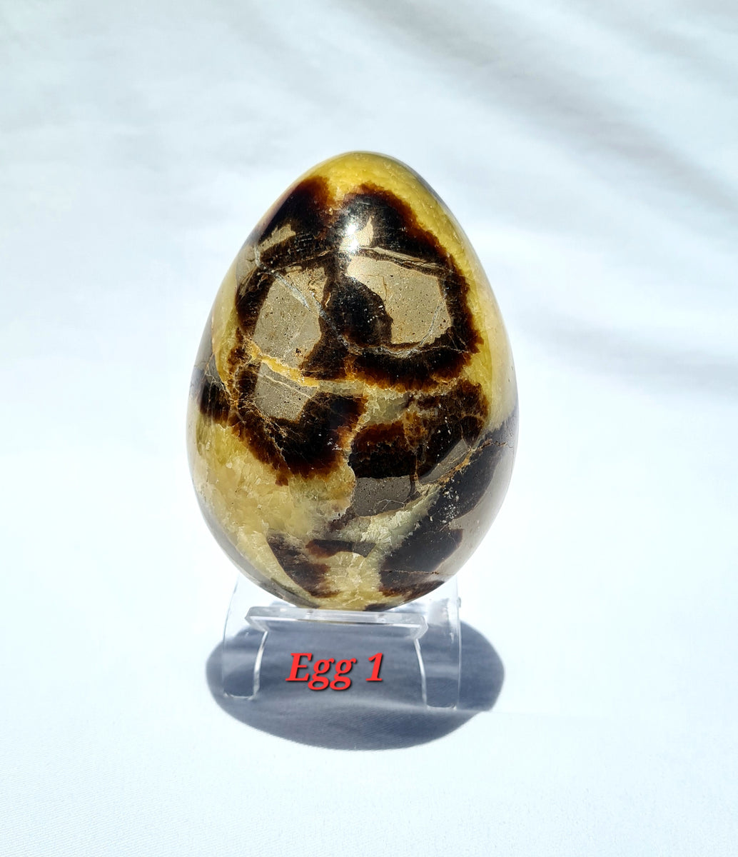 Septarian - DRAGONS EGGS - – Native Hart Crystals